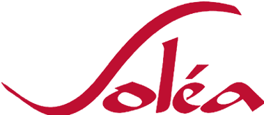 Création site internet Soléa sur mesure : Calculateur itinéraire, e ...